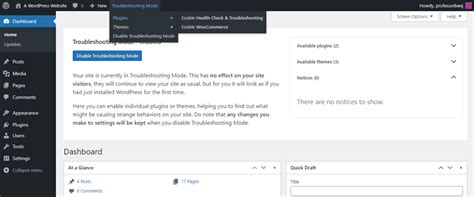 12 Best Wordpress Plugins For Developers
