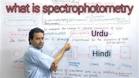 What Is Spectrophotometry In Biology At Clara Stamps Blog