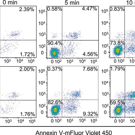Flow Cytometry Quantification Of Different Treatments Of Hela Cells