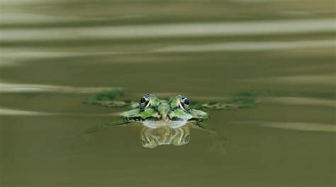 Dbms Utility Format Error Backtrace Examples • Vinish Dev