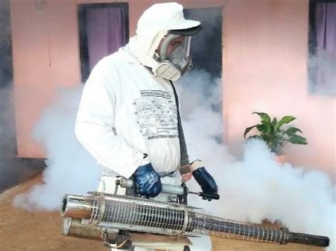 Récord histórico de muertes por dengue en el país ya son 32 en ocho