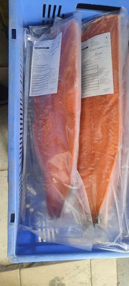 Frozen Salmon Sea Foods At ₹ 2000kg फ्रोज़न सीफ़ूड In Bengaluru Id