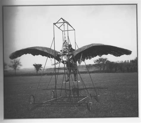 Facts About The Ornithopter At Hector Dwight Blog