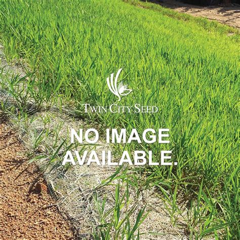 Profile® Blend With Tackifier Hydromulch Twin City Seed Company