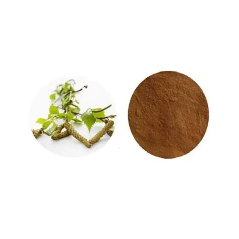 Betula Platyphylla Suk Betula Leaf Extract Buy Betula Platyphylla Suk