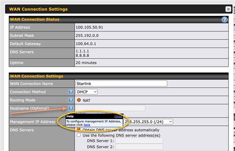 Using Starlink With Peplink