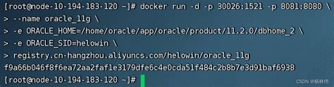 Docker下安装oracle11g（一次安装成功） 阿里云开发者社区