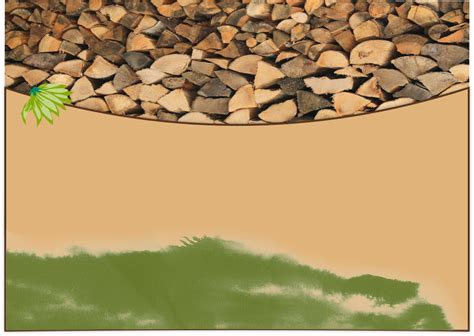 Forst Garten Und Hausmeisterservice In Erbach Und Michelstadt Im Odenwald M And H Gerner