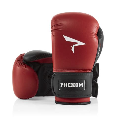 FG-10S Training Gloves – PHENOM BOXING