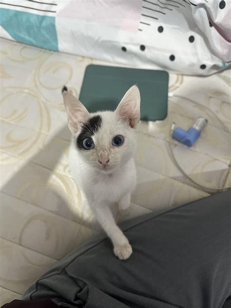 Tinitigan Ko R Rebus