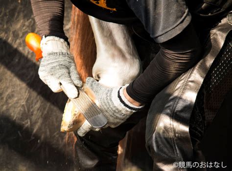 西内荘装蹄の感触が良かった馬【1122日曜版】 競馬ニュースなら競馬のおはなし
