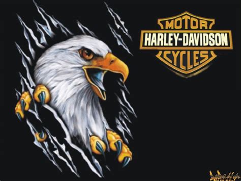 Harley Davidson Eagle Wallpapers Top Free Harley Davidson Eagle Backgrounds Wallpaperaccess