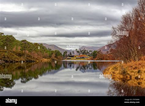 Glen Affric Cannich Scotland Looking Up The Garbh Uisge Water To The
