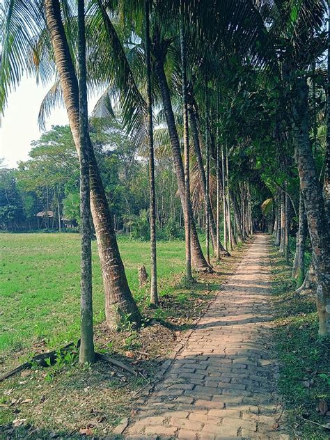 road of village photograph by moshiur rahman fine art america