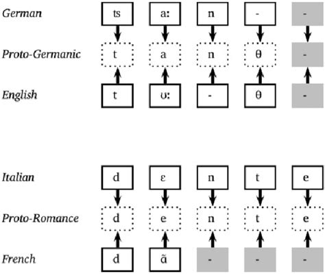 Reconstruction Of Language Proto Forms Download Scientific Diagram