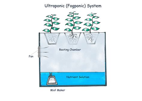 Hydroponic Passion Hydroponic Systems