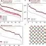 Unlocking Quantum Computing Power Automated Protocol Design For