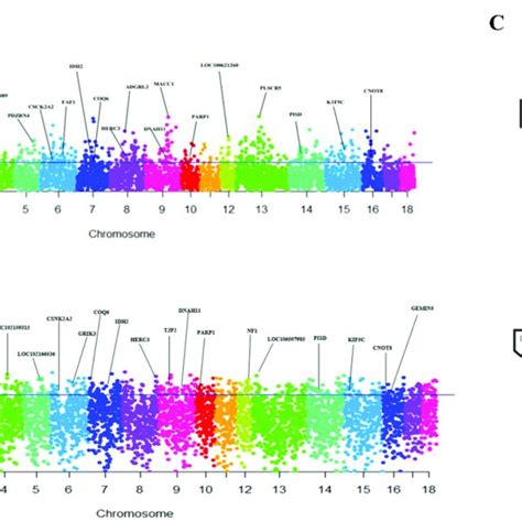 Genome Wide Selection Scan For Snps In European Wb And Dp By Using Download Scientific Diagram