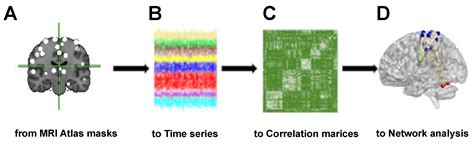 Sex Related Variations In The Brain Motor Network Connectivity At Rest