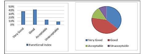 Percentages Of Functional Index Results Download Scientific Diagram
