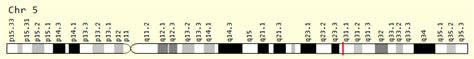 Slc22a5 Gene Genecards S22a5 Protein S22a5 Antibody