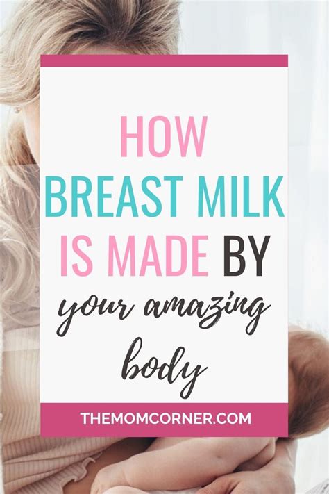 How Is Breast Milk Made In Your Amazing Body Themomcorner Artofit