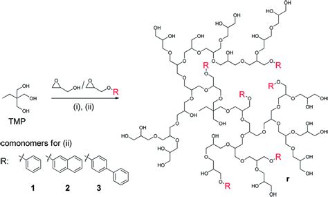 Structure Related Transport Properties And Cellular Uptake Of