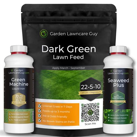 Cold Start Grass Seed Garden Lawncare Guy