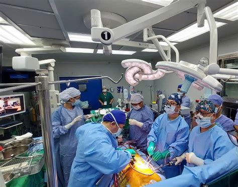 Bác Sĩ Ckii Lê Hữu Tuấn Thuốc Dân Tộc Cách 1 Lấy 50g Lá Lốt Rửa
