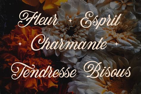 vintage lettering toolkit for procreate — aurelie maron