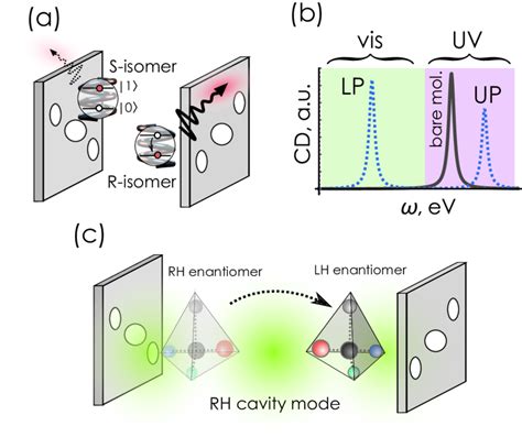 Potential Implications Of Chiral Strong Coupling A Selective Download Scientific Diagram