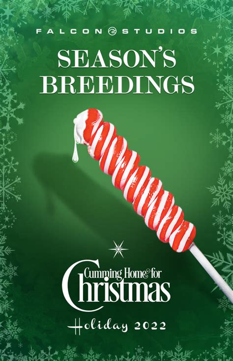 Falcon Enters The Christmas Rom Com Sweepstakes With Cumming Home For