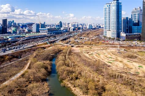 샛강생태공원 서울연구데이터서비스