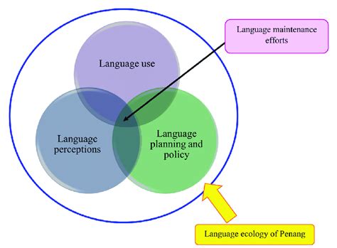 Conceptual Framework Download Scientific Diagram