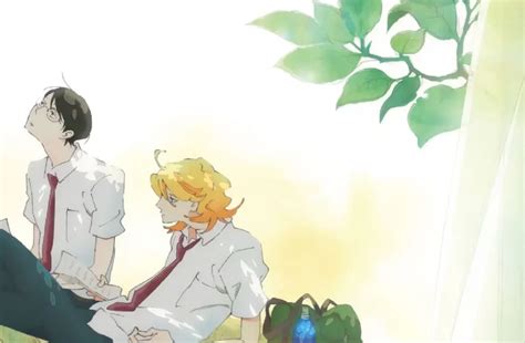 10 Melhores Animes De Romance Escolar Animes Únicos