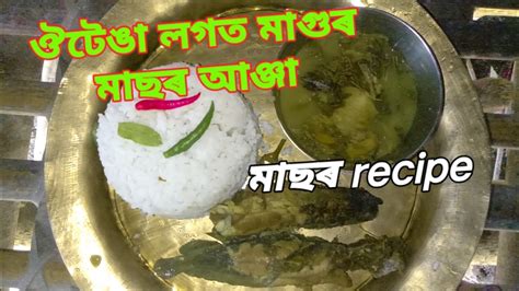 ঔটেঙা আৰু মাগুৰ মাছৰ আঞ্জাlocal মাছৰ Recipekardongao7857 Youtube