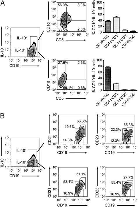 Mc Induced Il 10 Competent B Cells Express Markers Typical Of T2 Mzp