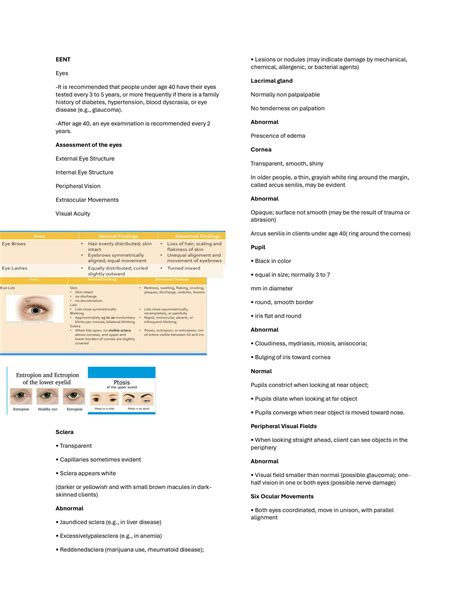 Normal And Abnormal Findings In Ear Assessment At Taj Rolleston Blog