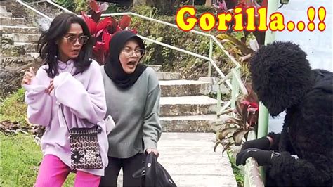 Ada Gorila sembunyi di semak-semak..!! Funny video - YouTube