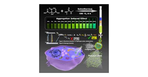 Carbonized Polymer Dots With Aggregation Induced Effect For Type I Photodynamic Therapy Acs