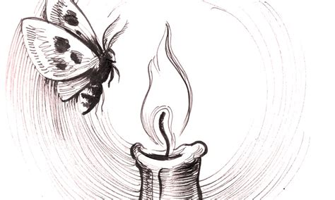 Aspirar avión Libro Guinness de récord mundial dibujos de leonardo da