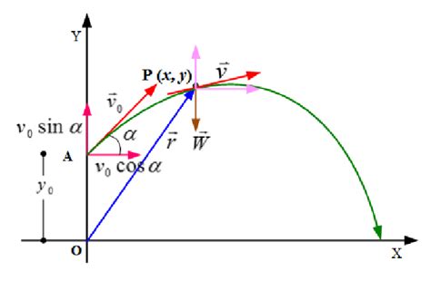 Projectile Motion Download Scientific Diagram