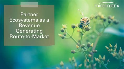 Partner Ecosystems As A Revenue Generating Route To Market