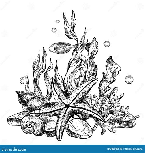 Underwater World Clipart With Sea Animals Starfish Fish Shells Coral
