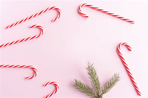 크리스마스 구성 크리스마스 사탕 지팡이와 전나무 가지 플랫 누워 파스텔 핑크 배경에 상단 보기 휴일 축제 축하 인사말 카드 와 복사 공간 Fo 텍스트 사탕 지팡이와 전나무