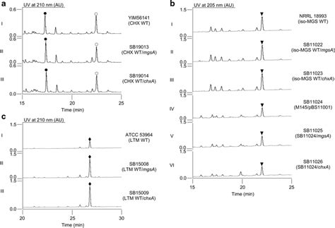 Production Of Glutarimide Containing Polyketides By Wild Type And Download Scientific Diagram