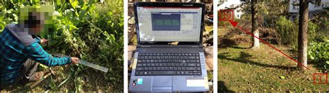 Diagram Of The Field Test Download Scientific Diagram
