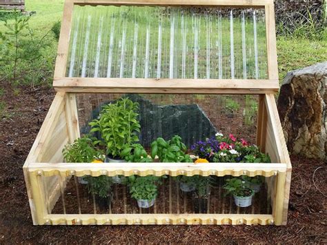 Cold Frame Of Clear Polycarbonate Panels Extend Growing Season