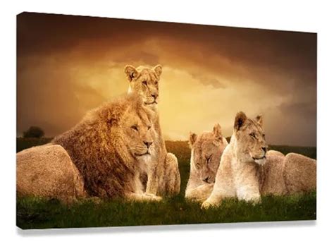 Cuadro decorativo Ecodecor Quadro Decorativo Em Tela Grande Sala Quarto Leão E Leoas cuadro