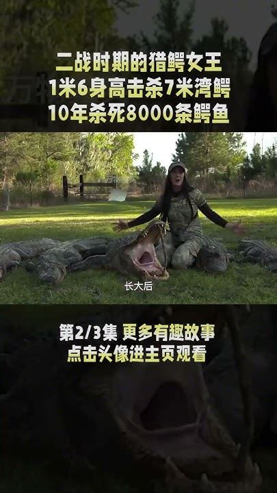 23 澳大利亚湾鳄泛滥成灾，如果给你日薪十万，你敢去当捕鳄猎人吗？鳄鱼 湾鳄 动物 Youtube